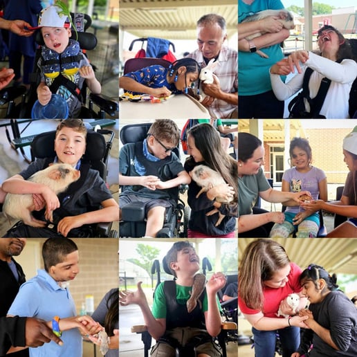 Hire Emit's Farm and Adventure Park - Petting Zoo in Charlotte, NC ...