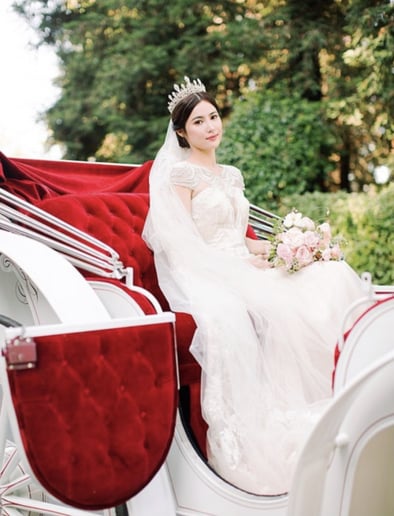 Hire Grand Carriages - Horse Drawn Carriage in Livermore, CA | GigSalad