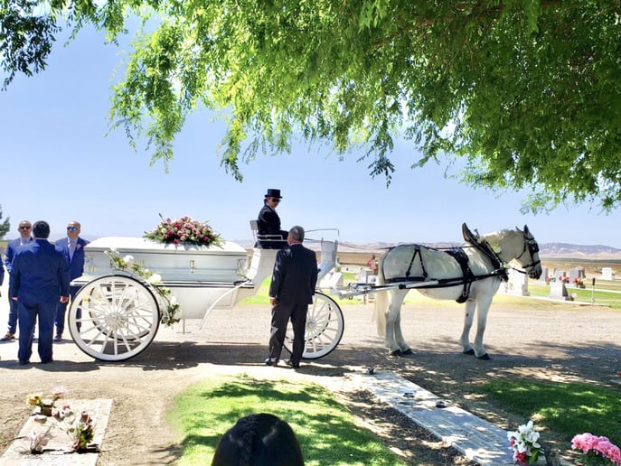 Hire Grand Carriages - Horse Drawn Carriage in Livermore, CA | GigSalad