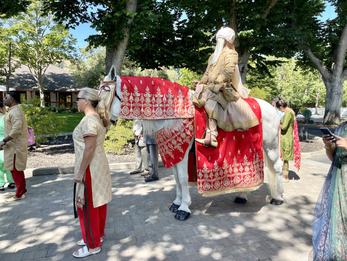 Hire Grand Carriages - Horse Drawn Carriage in Livermore, CA | GigSalad