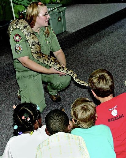 Hire Rainforest Reptile Shows - Animal Entertainment in Beverly, MA ...