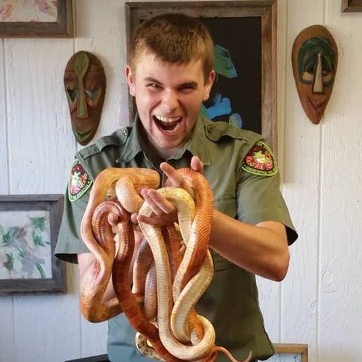 Hire Rainforest Reptile Shows - Animal Entertainment in Beverly, MA ...