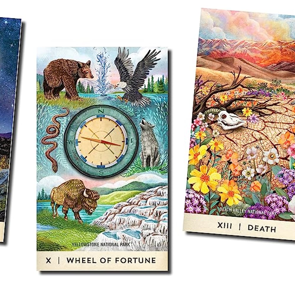 Hire Charming Little Witch Tarot Reading - Tarot Reader in Grand Rapids ...