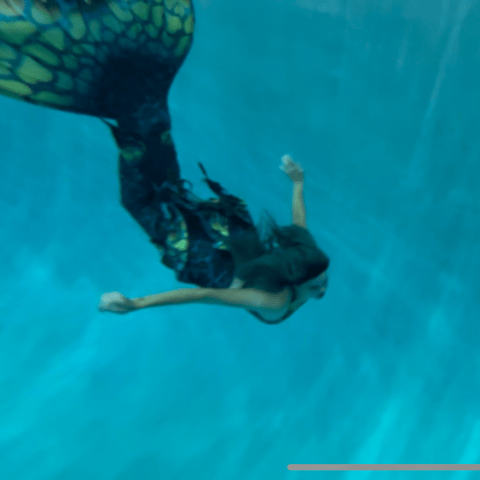 Hire Naiad Nyx - Mermaid Entertainment in Collinsville, IL | GigSalad