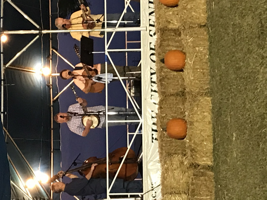 Hire 5th String Band - Acoustic Band in Greenville, South Carolina