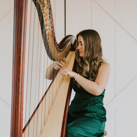 Hire Abigail McLean, Harpist - Harpist in Fuquay Varina, North Carolina