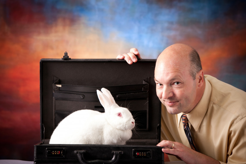 Hire Abracadabra Productions - Corporate Magician in Boston, Massachusetts