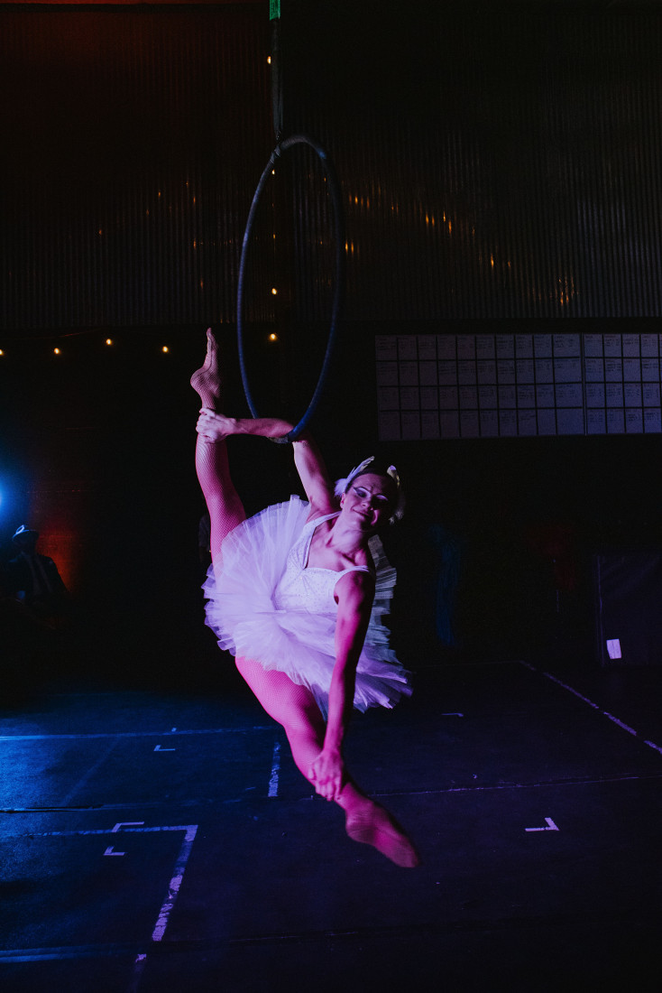 Hire Aerial and Pole Performer - Aerialist in North Charleston, South ...
