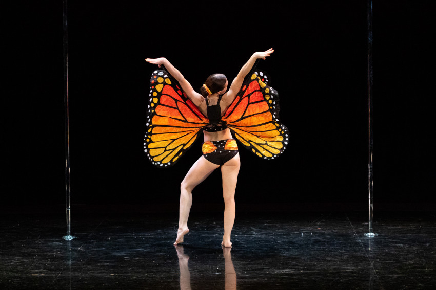 Hire Aerial and Pole Performer - Aerialist in North Charleston, South ...