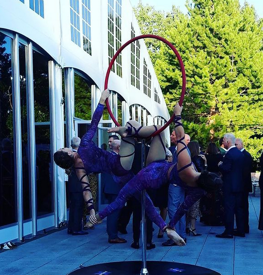 Hire Aerial Arts of Rochester - Aerialist in Rochester, New York