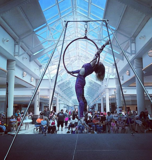 Hire Aerial Arts of Rochester - Aerialist in Rochester, New York