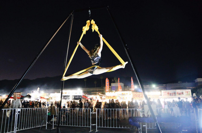 Hire Aerial Hammock Performance - Aerialist in Los Angeles, California