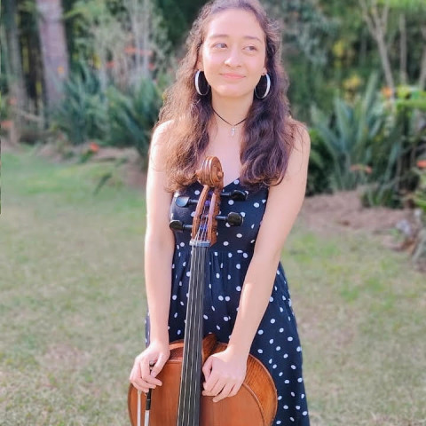 Hire Amazing Cello - Cellist in New York City, New York