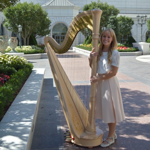 Hire Annie Clark Harpist - Harpist in Salt Lake City, Utah
