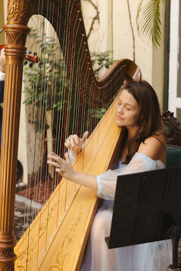 Hire Assai Event Musicians - String Quartet in Miami, Florida