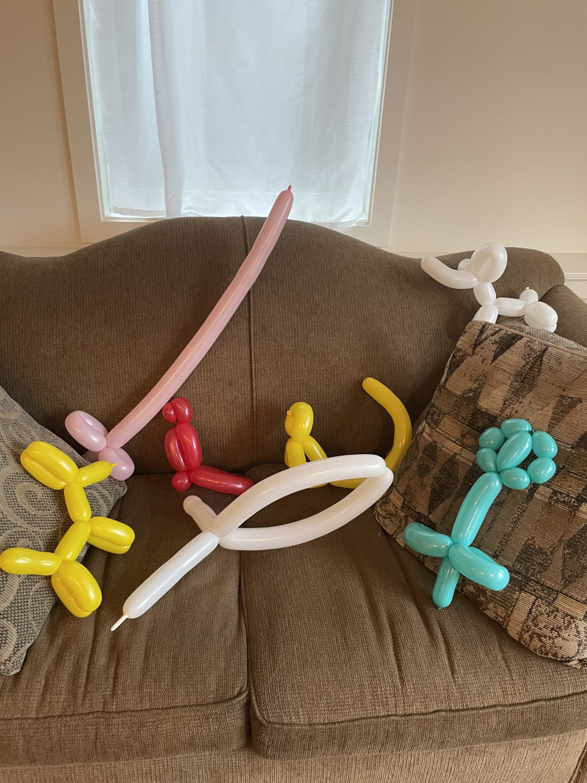 Hire Balloon Dude Tim - Balloon Twister in Portland, Oregon