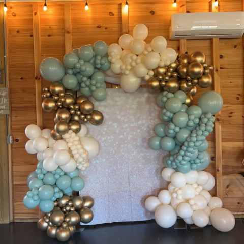 Hire Balloons by Lynnie - Balloon Decor in Greensboro, North Carolina