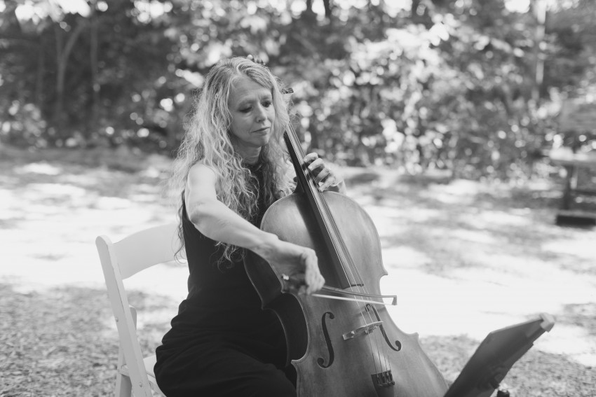 Hire Brenda J Johnson, cellist - Cellist in Mount Wolf, Pennsylvania