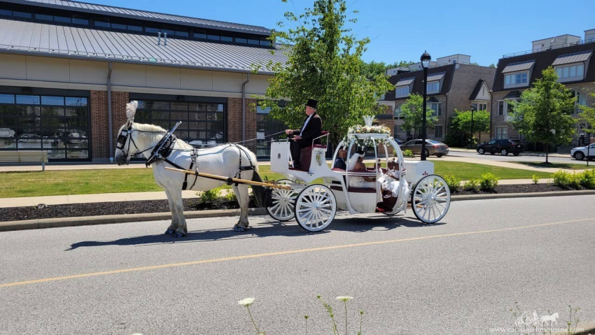 Hire Carriage Limousine Service - Horse Drawn Carriages - Horse Drawn ...