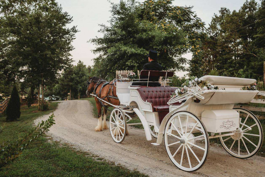 Hire Carriage Run Carriage Service - Horse Drawn Carriage in Lawndale ...