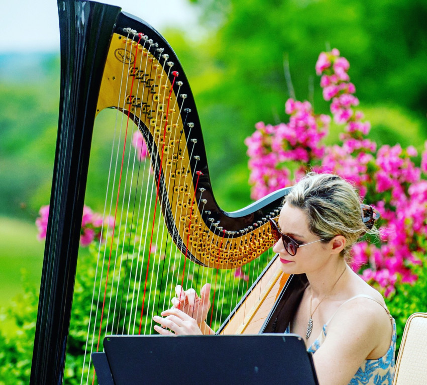 Hire Chicago Harpist Michelle Campbell - Harpist in Chicago, Illinois