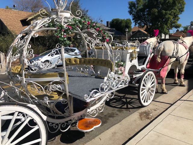 Hire Cindy Cinderella Carriages - Horse Drawn Carriage in Riverside ...