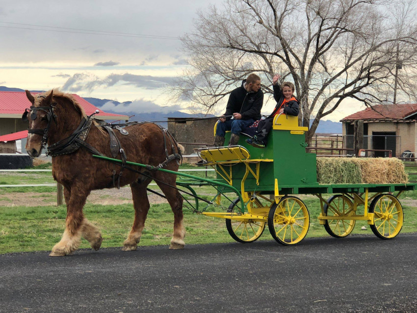 Hire CL Ranch - Horse Drawn Carriage in Grantsville, Utah