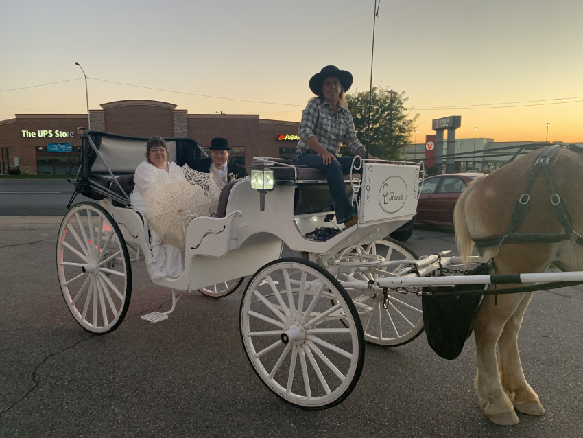 Hire CL Ranch - Horse Drawn Carriage in Grantsville, Utah