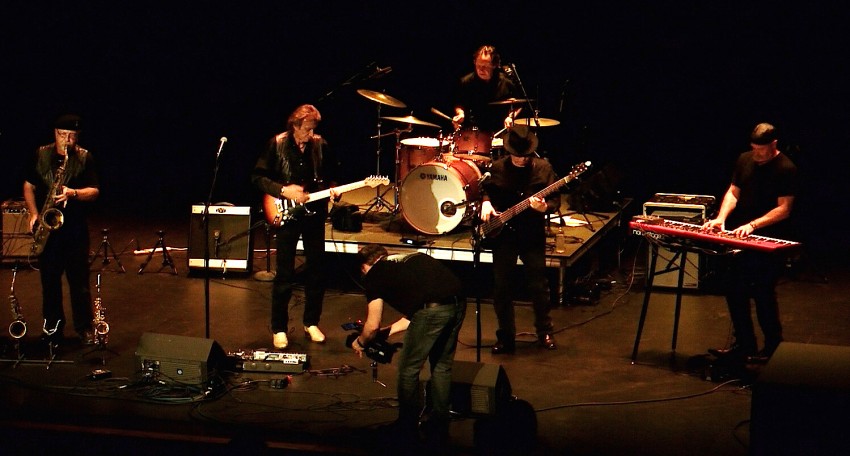 Hire Dead Cat Bounce - Blues Band in Washington, District Of Columbia