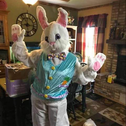 Hire Easter Bunny - Costume Rentals in Goldsboro, North Carolina