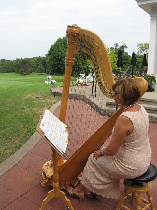 Hire Elegant Harp Music for All Occasion - Harpist in Columbia City ...