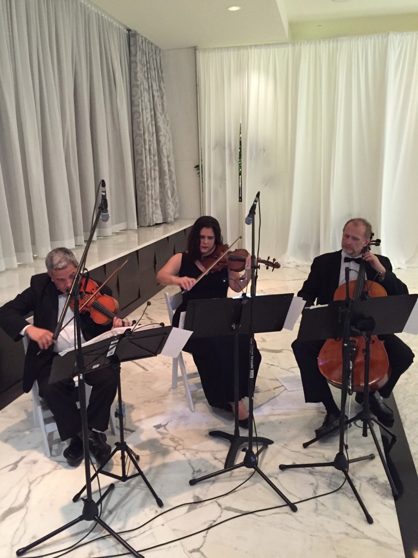 Hire Eleganza Strings - String Quartet in Miami, Florida