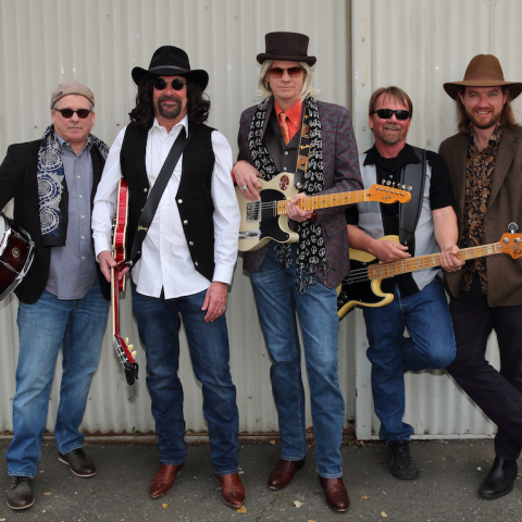 Hire ELVIS & The Experience - Classic Rock Band in Davis, California