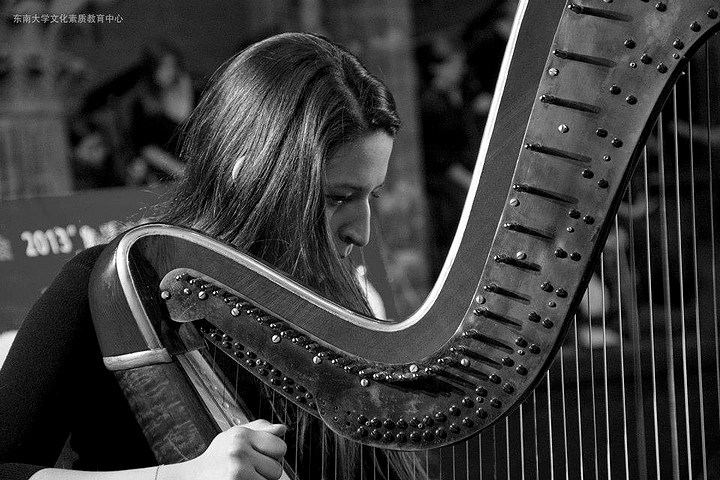 Hire Elysia Roman Harpist - Harpist in Poughkeepsie, New York