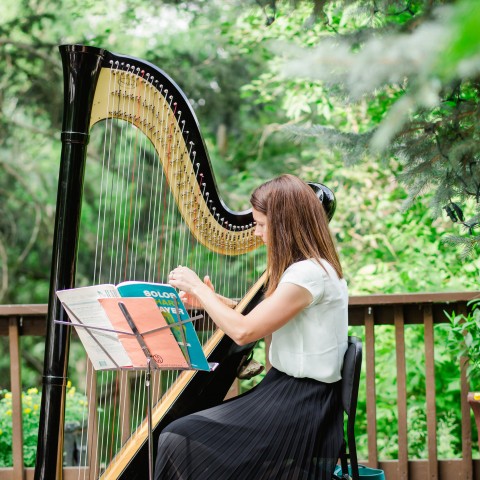Hire Emily Hinchey | Harpist - Harpist in Salt Lake City, Utah