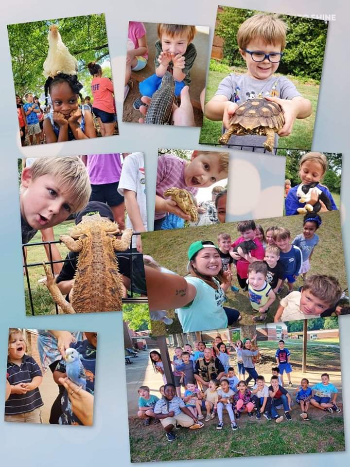 Hire Emit's Farm and Adventure Park - Petting Zoo in Charlotte, North ...