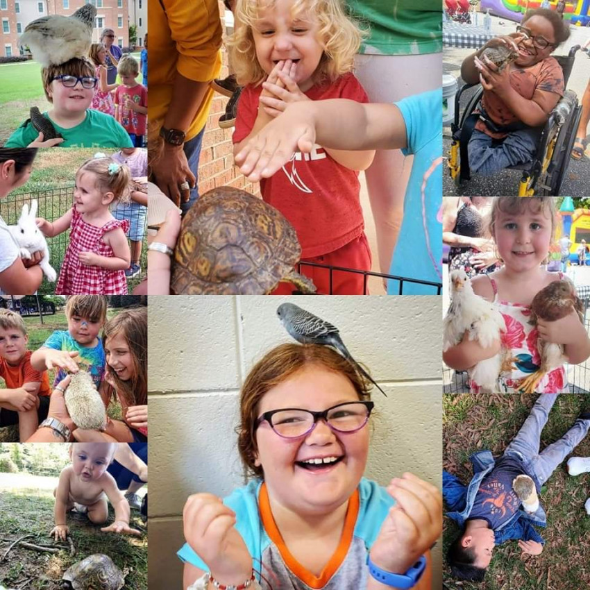 Hire Emit's Farm and Adventure Park - Petting Zoo in Charlotte, North ...