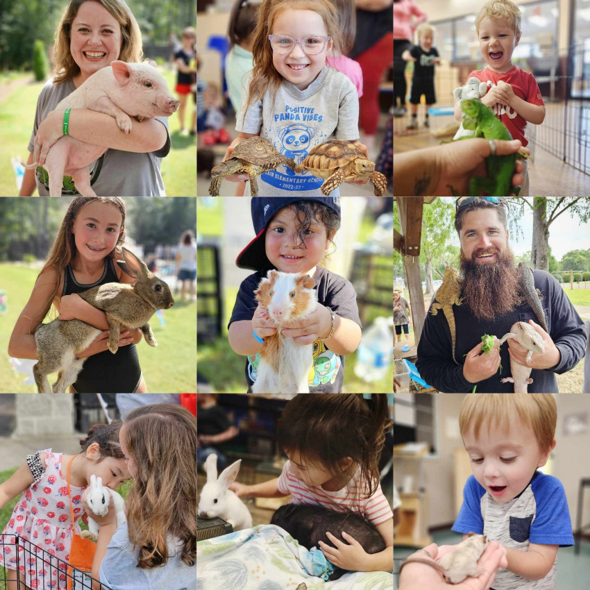 Hire Emit's Farm and Adventure Park - Petting Zoo in Charlotte, North ...