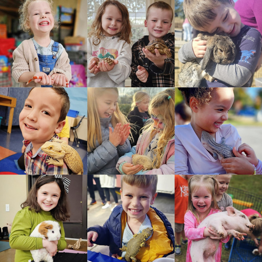 Hire Emit's Farm and Adventure Park - Petting Zoo in Charlotte, North ...