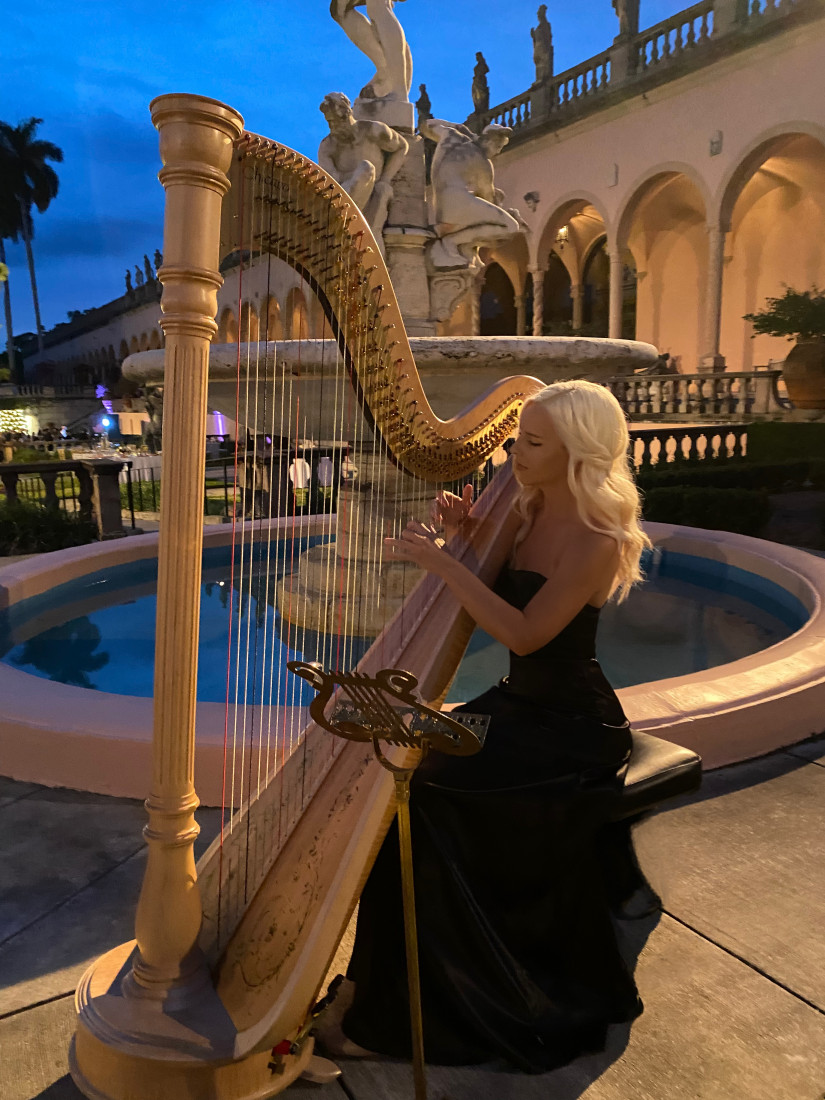 Hire Emma The Harpist - Harpist in Naples, Florida