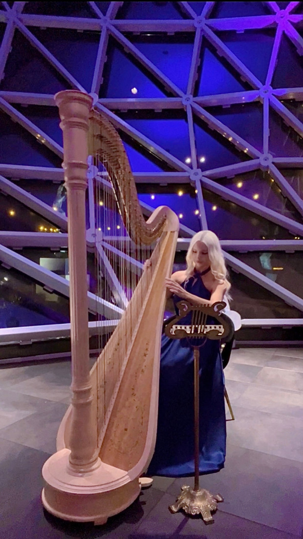 Hire Emma The Harpist - Harpist in Naples, Florida