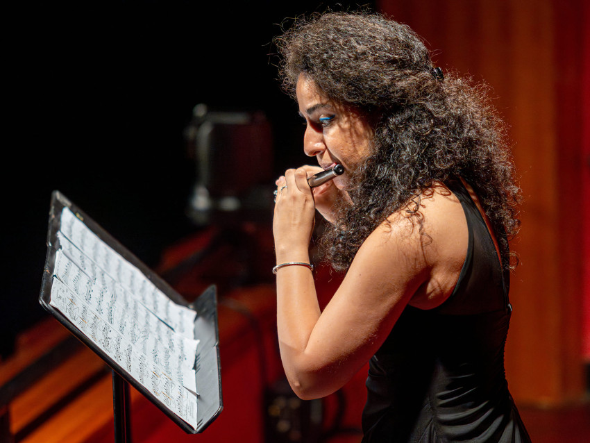 Hire Enchanting Flute Melodies - Flute Player in Cambridge, Massachusetts