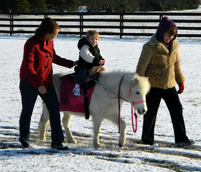 Hire Fairytale Pony Parties - Pony Party in Bradenton, Florida