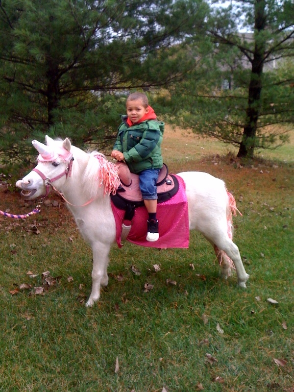 Hire Fairytale Pony Parties - Pony Party in Bradenton, Florida