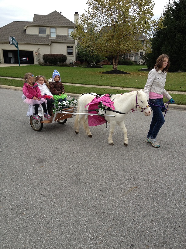 Hire Fairytale Pony Parties - Pony Party in Bradenton, Florida