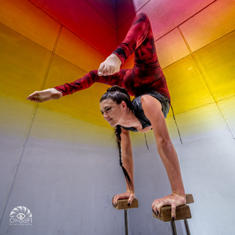Hire Flexible Serpent - Contortionist in Austin, Texas