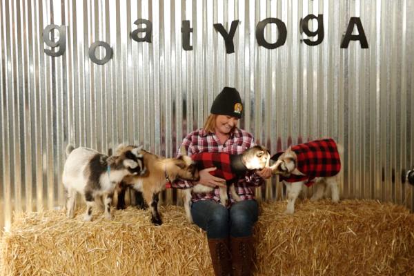 Hire Founder of Goat Yoga - Motivational Speaker in Portland, Oregon