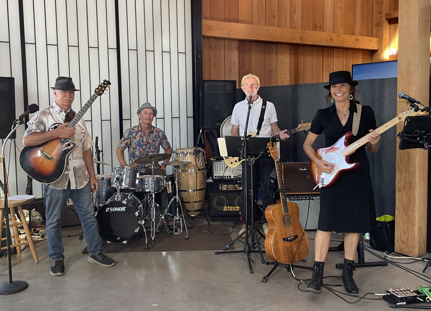 Hire Free Elements band - Cover Band in Santa Cruz, California