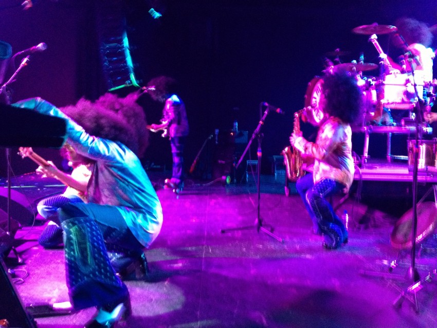 Hire Fungi Mungle - Disco Band in El Paso, Texas