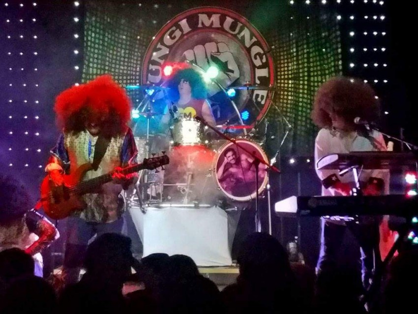 Hire Fungi Mungle - Disco Band in El Paso, Texas
